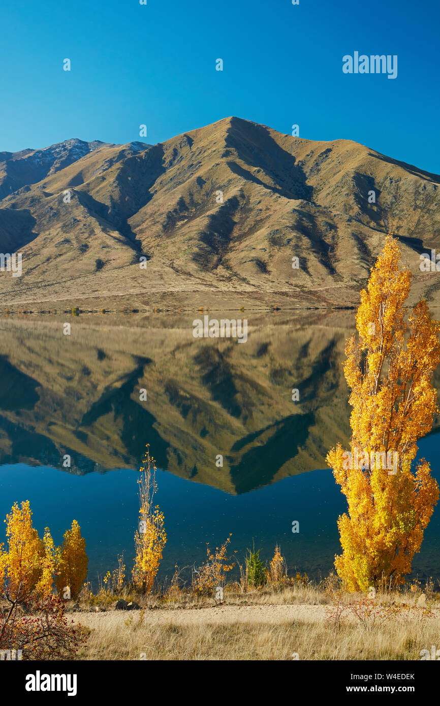 Trees and the water cycle hi-res stock photography and images - Alamy