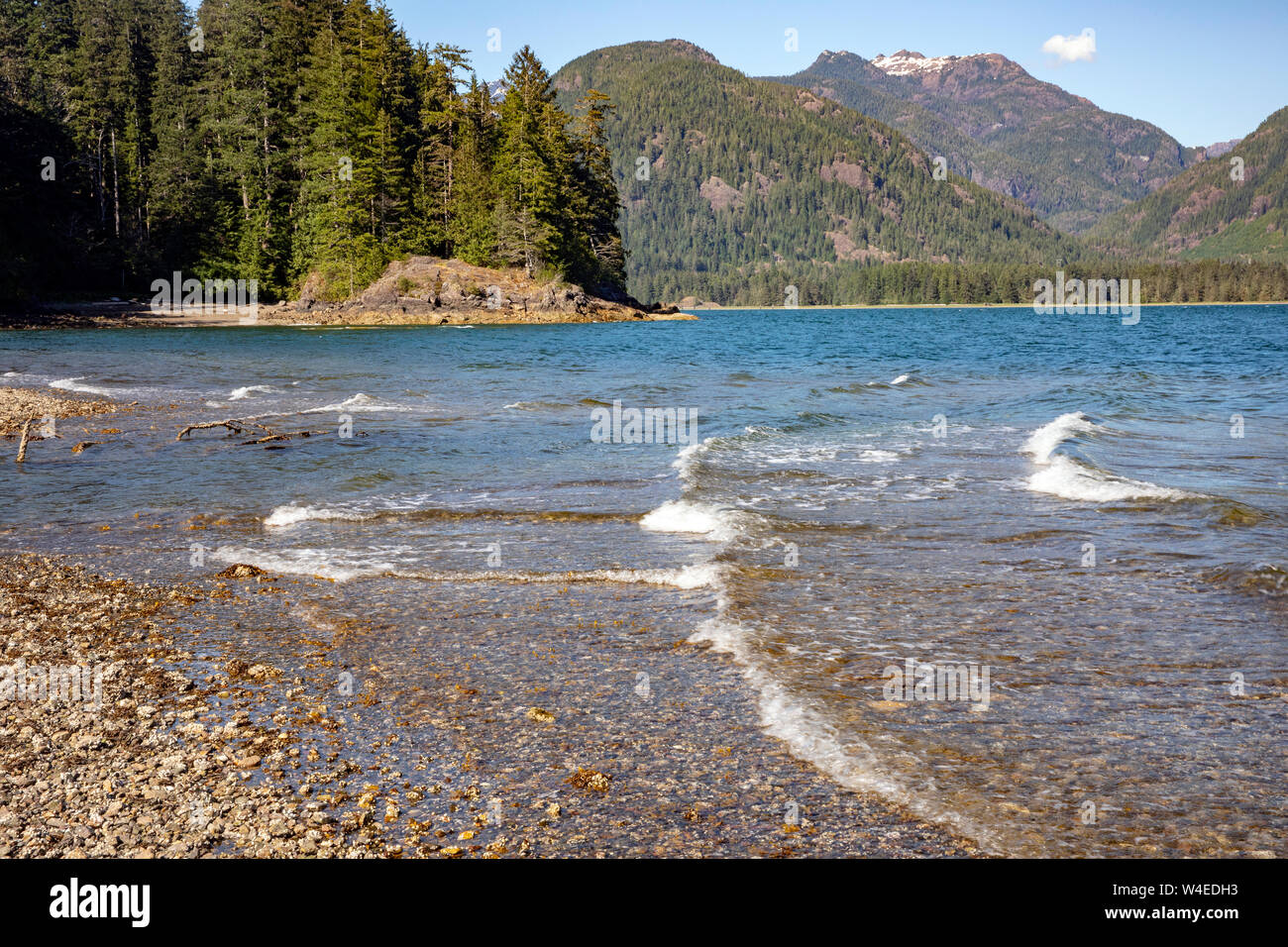Vancouver Island West Beach Premium Photo | Sandy Shore On Pacific
