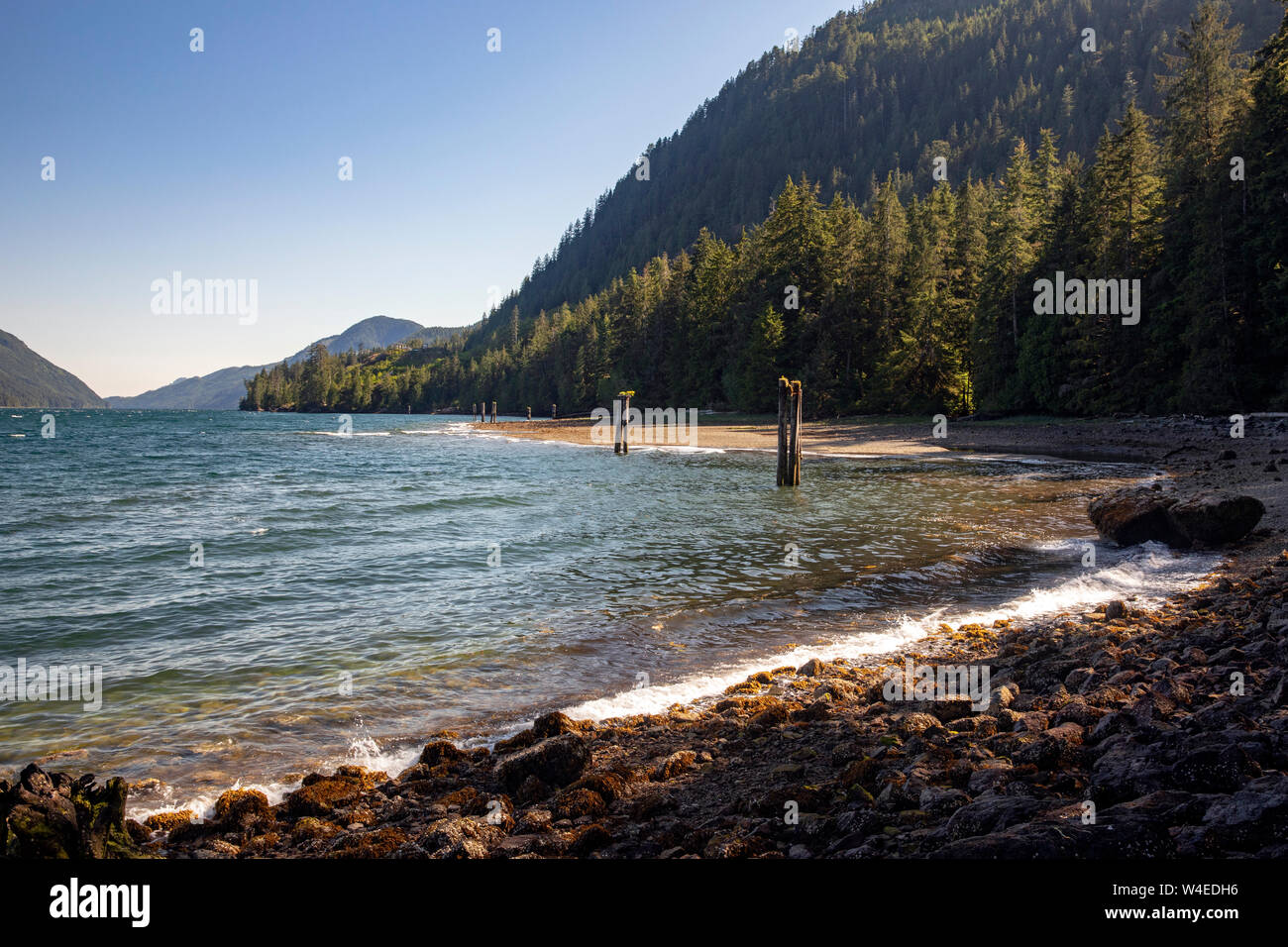 Environment british beach hi-res stock photography and images - Alamy
