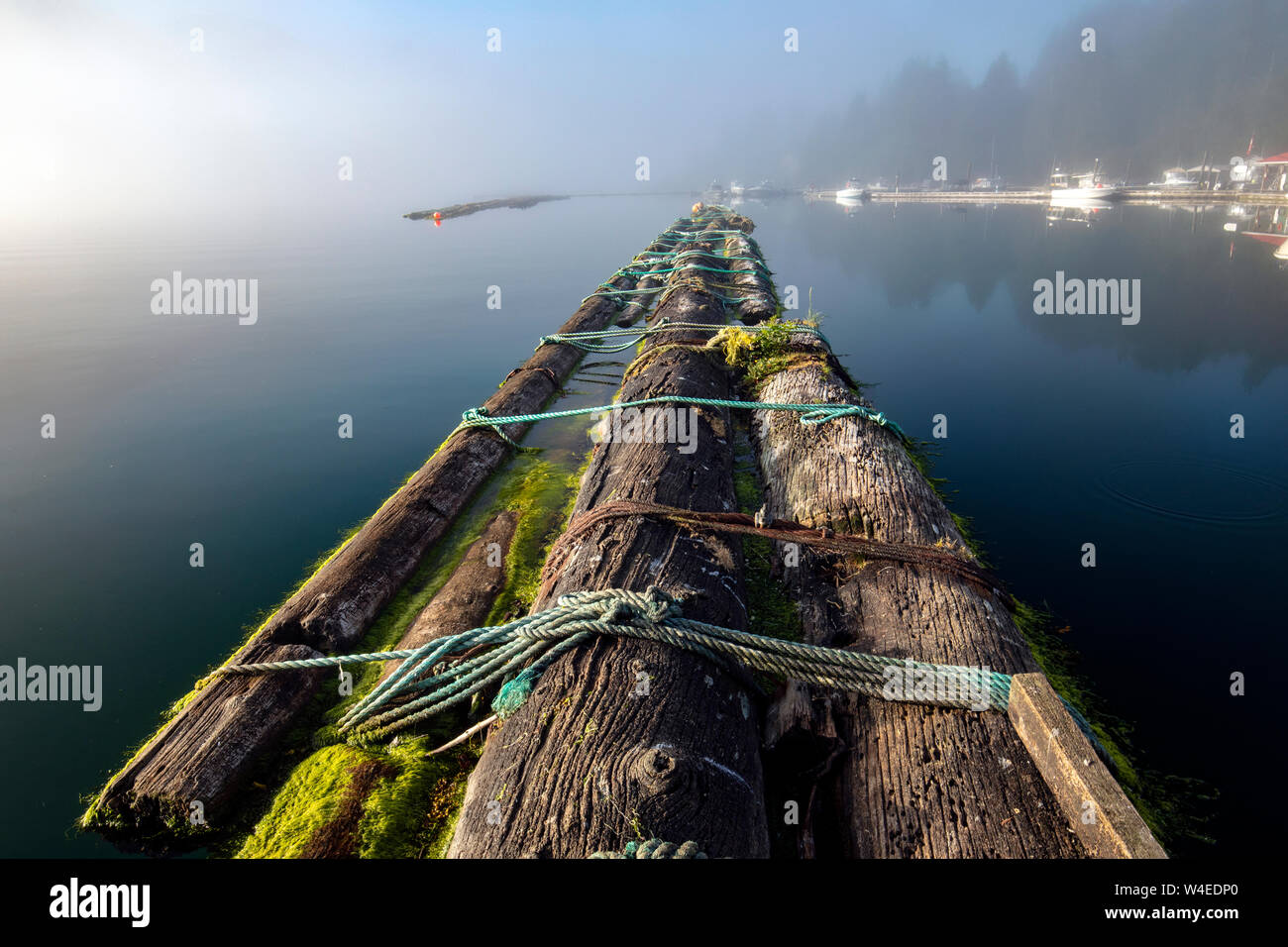 Canada vancouver timber rafting hi-res stock photography and images - Alamy