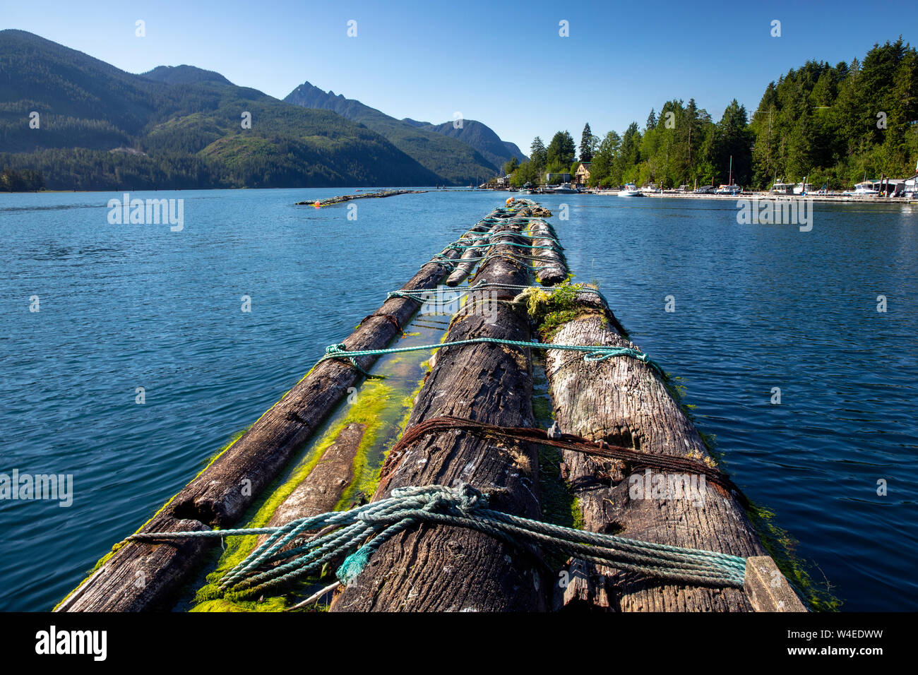 Timber raft at Westview Marina in Tahsis, near Gold River, Vancouver ...