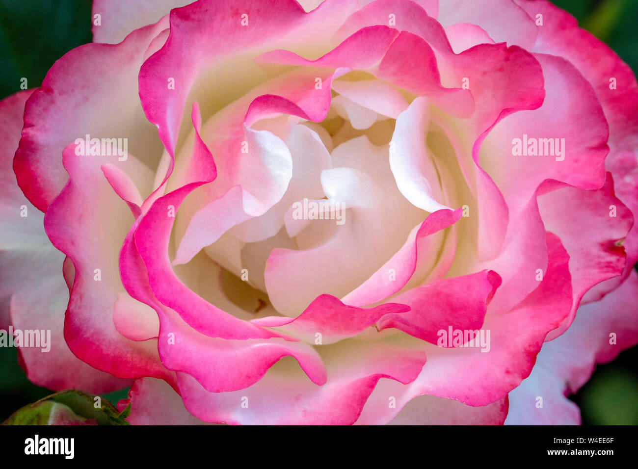 Delany sisters hi-res stock photography and images - Alamy