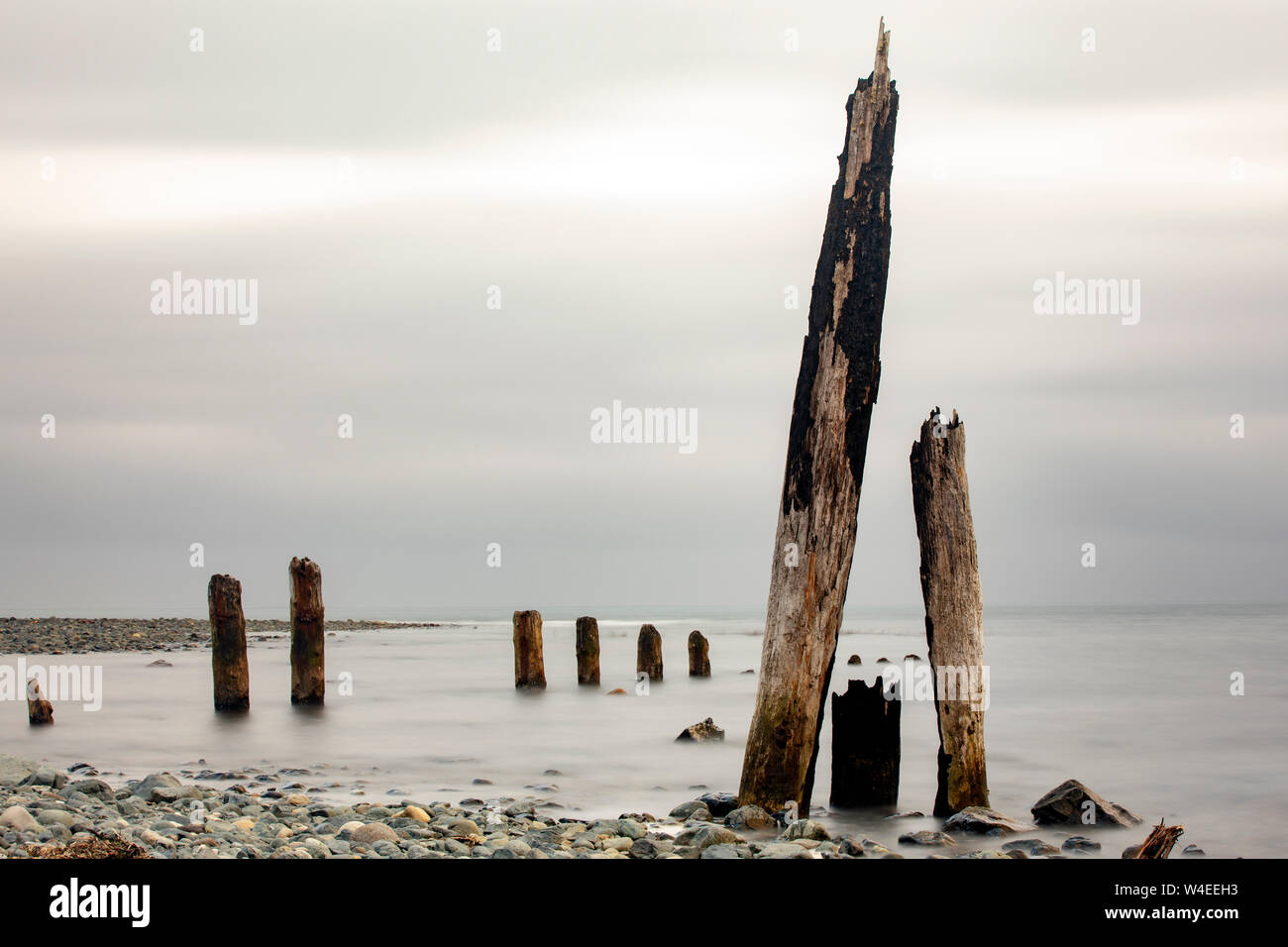Old wooden pilings hi-res stock photography and images - Alamy