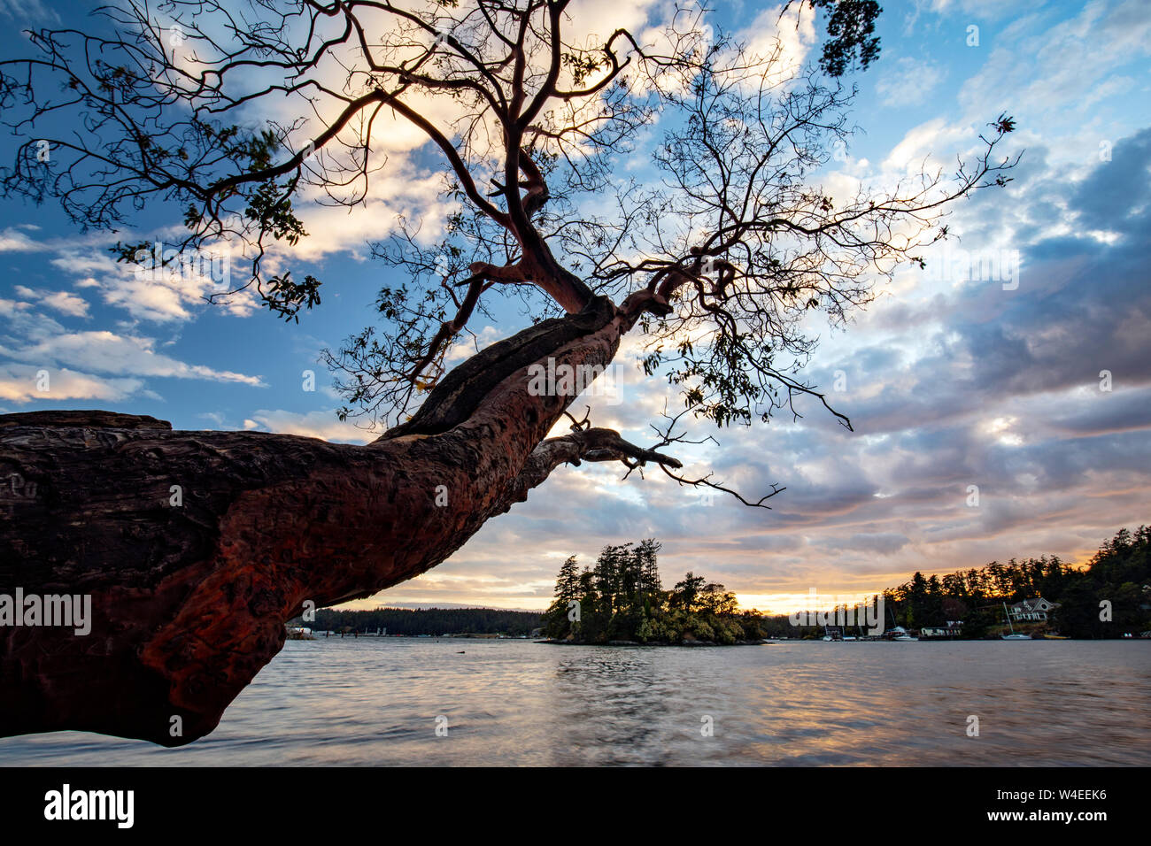 View of Portage Inlet from Portage Park, View Royal near Victoria ...