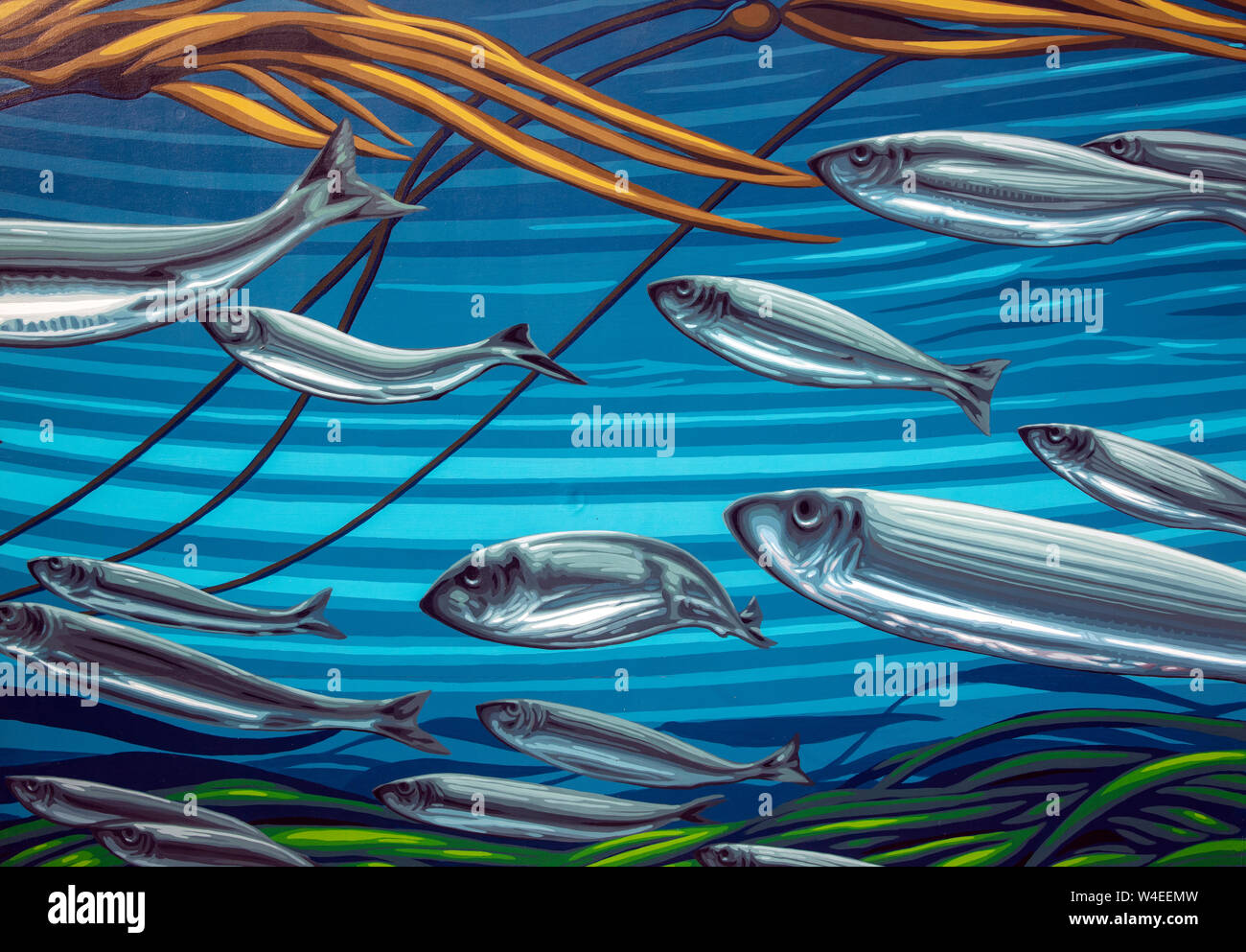 Collin elder hi-res stock photography and images - Alamy