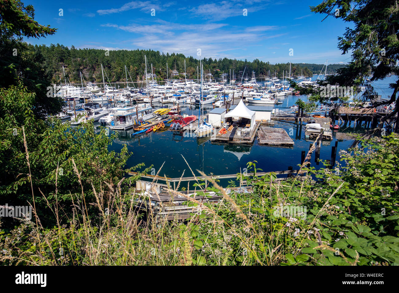 Marina in Ganges Harbour - Salt Spring Island, British Columbia, Canada ...