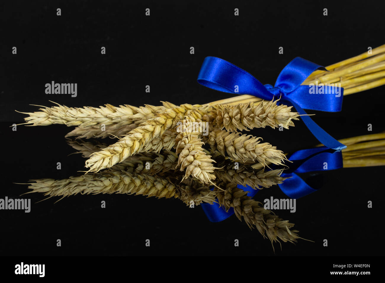Tied wheat sheaf hi-res stock photography and images - Alamy