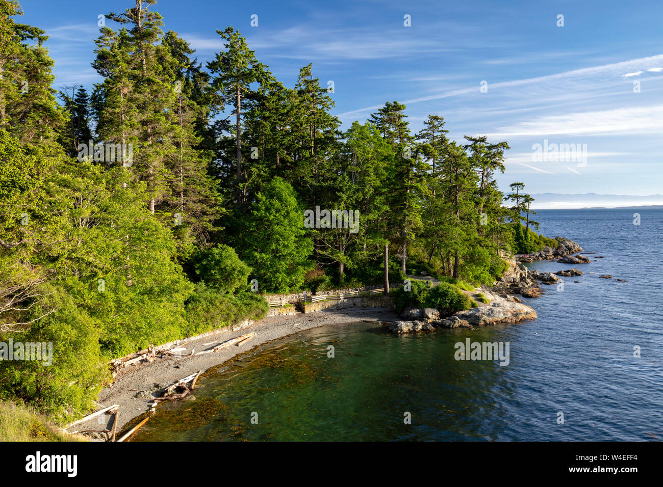 Point de saxe hi-res stock photography and images - Alamy
