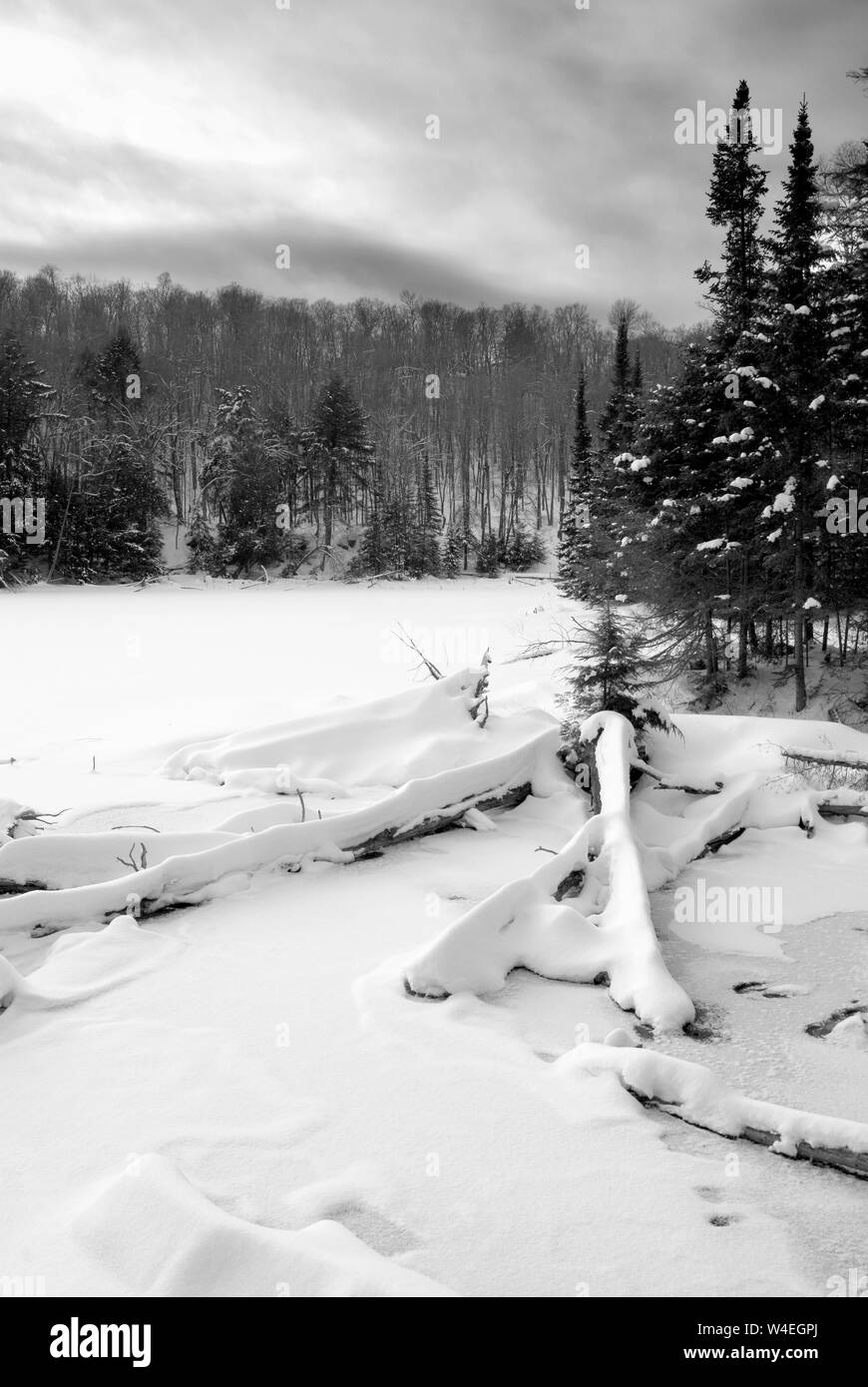 Winter scene canada Black and White Stock Photos & Images - Alamy