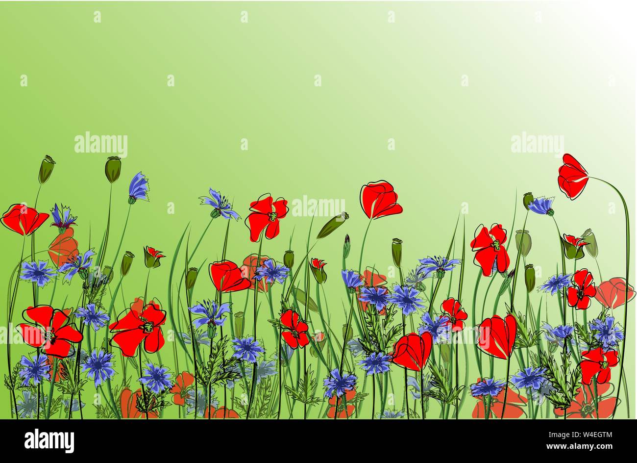 Bouquet of poppies and cornflowers vector illustration eps 10 Stock ...