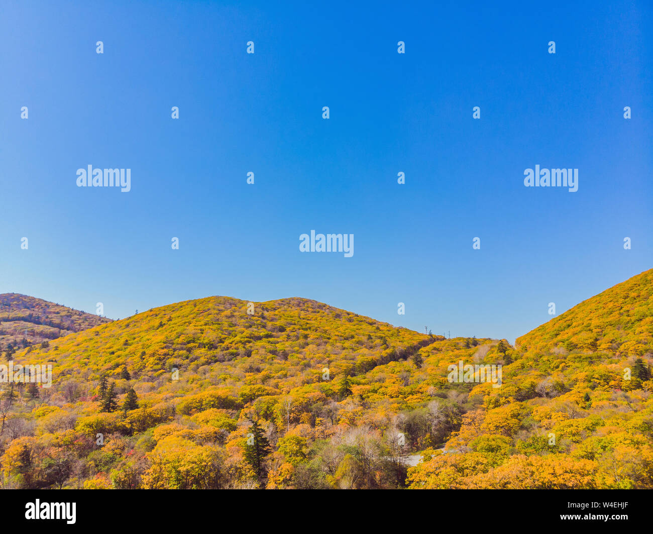 Tree Top Hike High Resolution Stock Photography and Images - Alamy