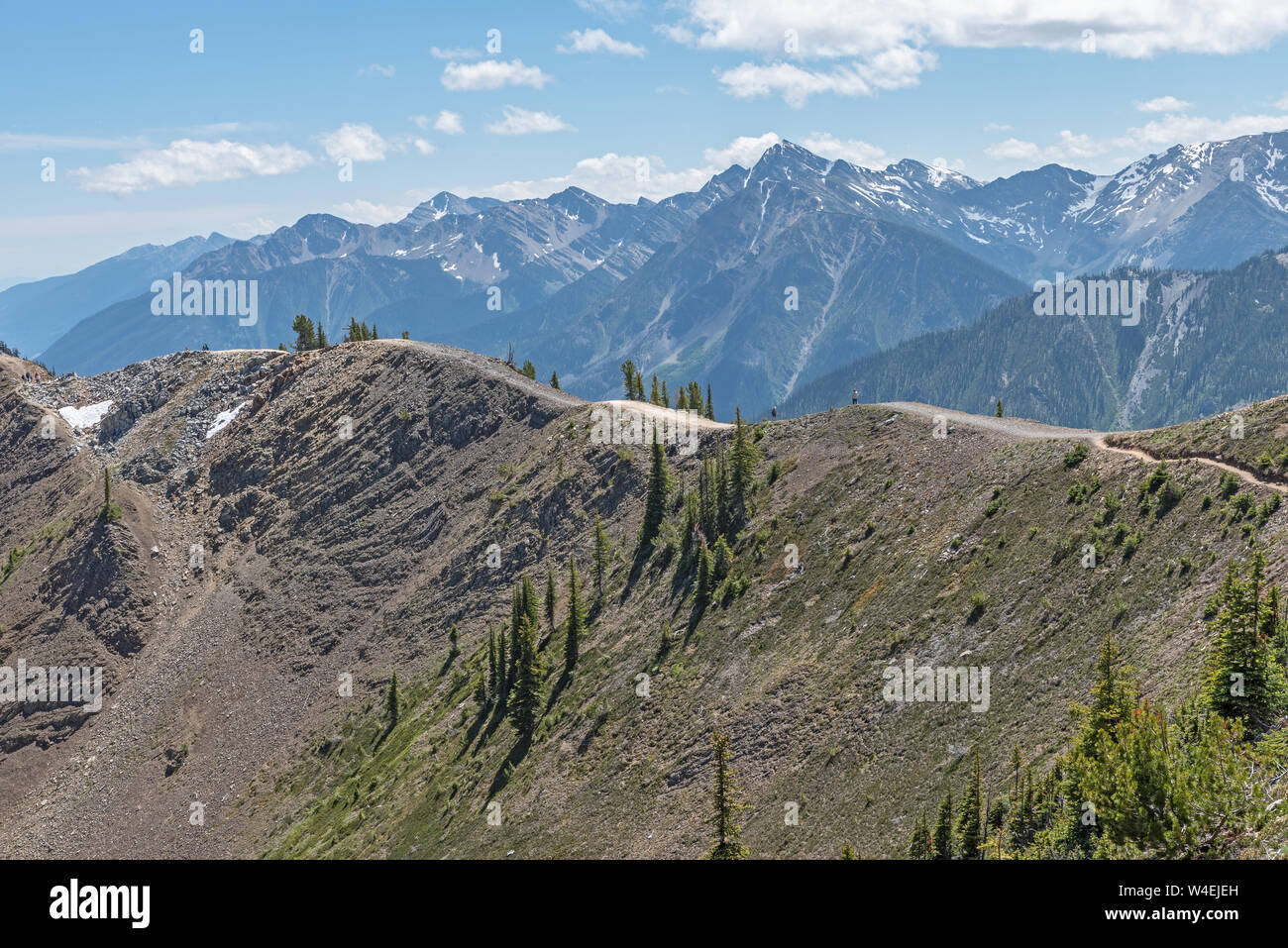 High ridge tooth hi-res stock photography and images - Alamy