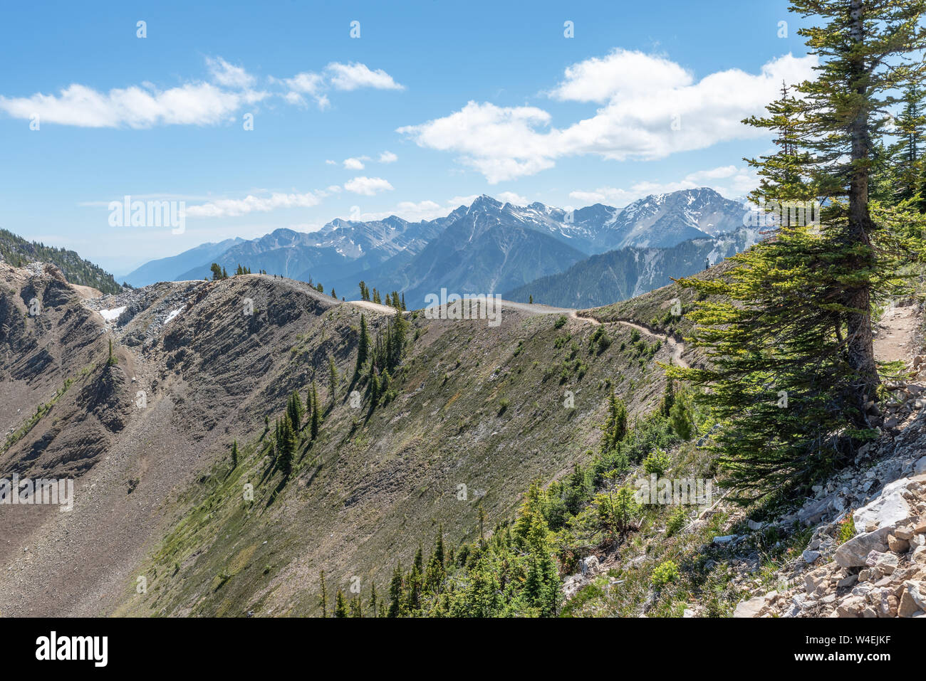 Terminator Ridge Mountain Top Hiking Trail at Golden, British Columbia ...
