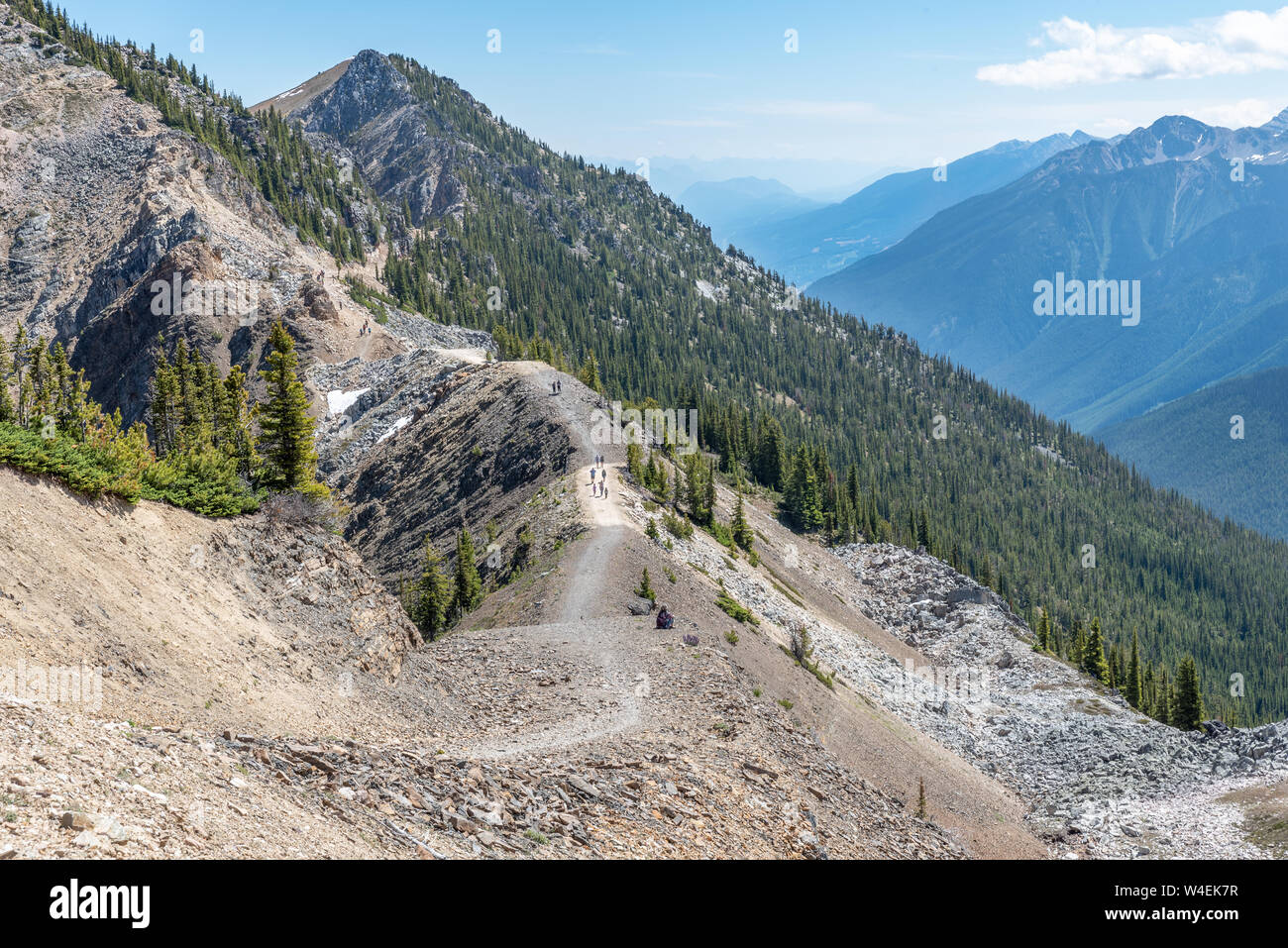 Terminator Ridge Mountain Top Hiking Trail at Golden, British Columbia ...