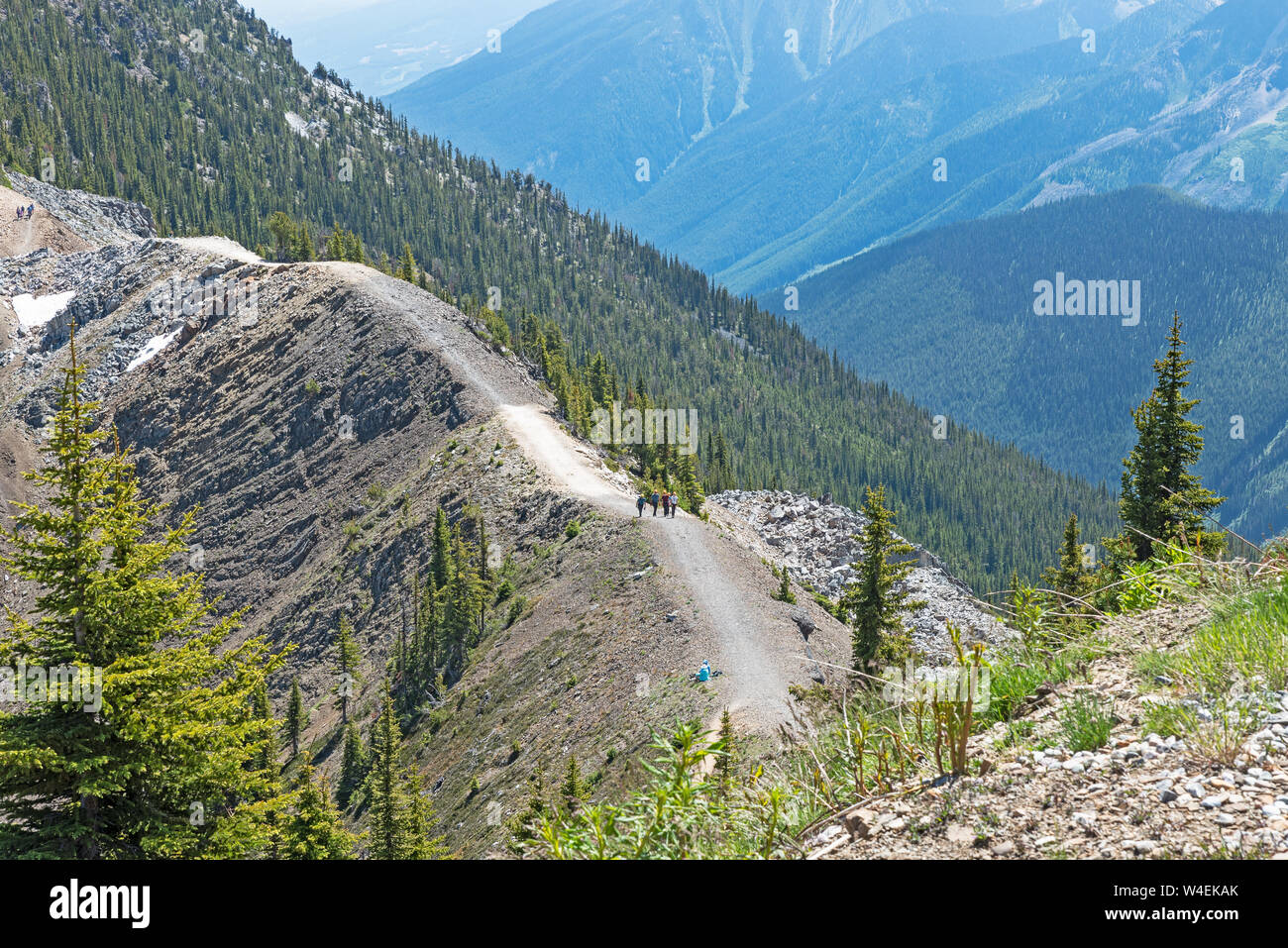 Terminator Ridge Mountain Top Hiking Trail at Golden, British Columbia ...
