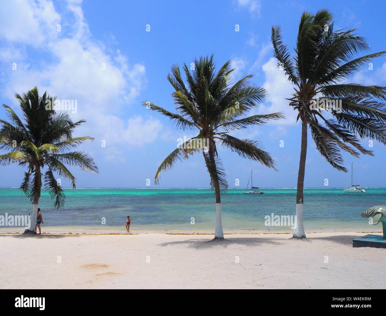Caribbean sea and coast. The tropical ocean of Belize. Ambergris Caye ...