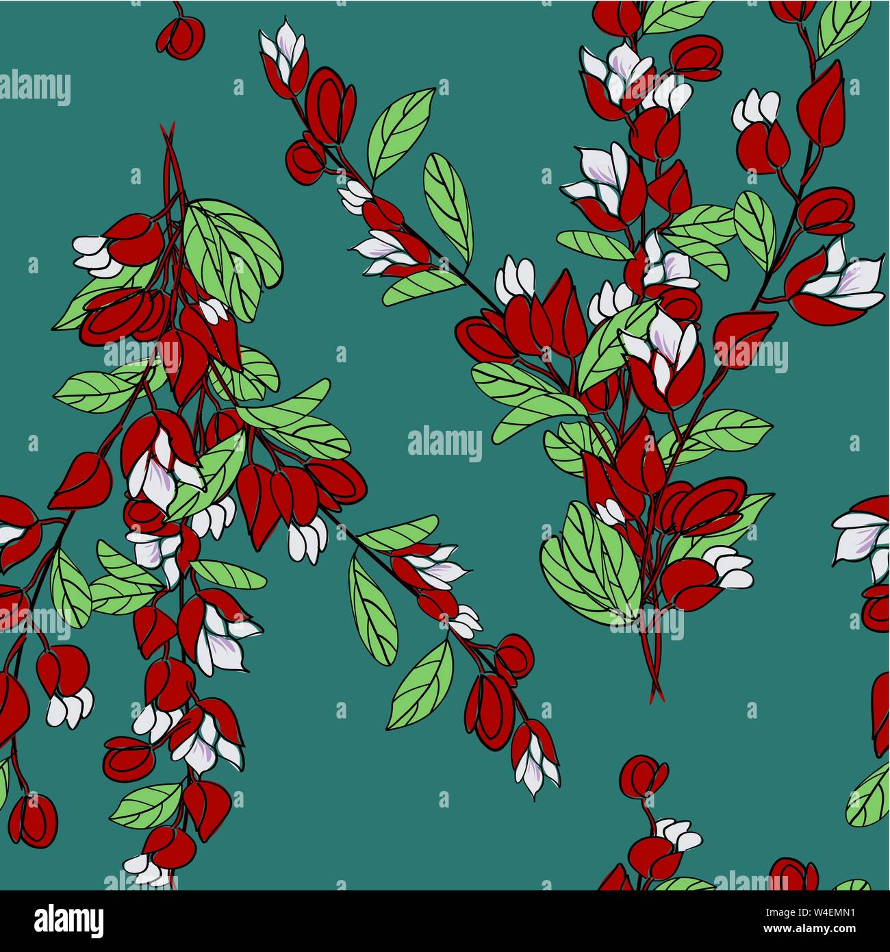 Fiji Blossom, Illustration of Tagimaucia Flower or Medinilla ...