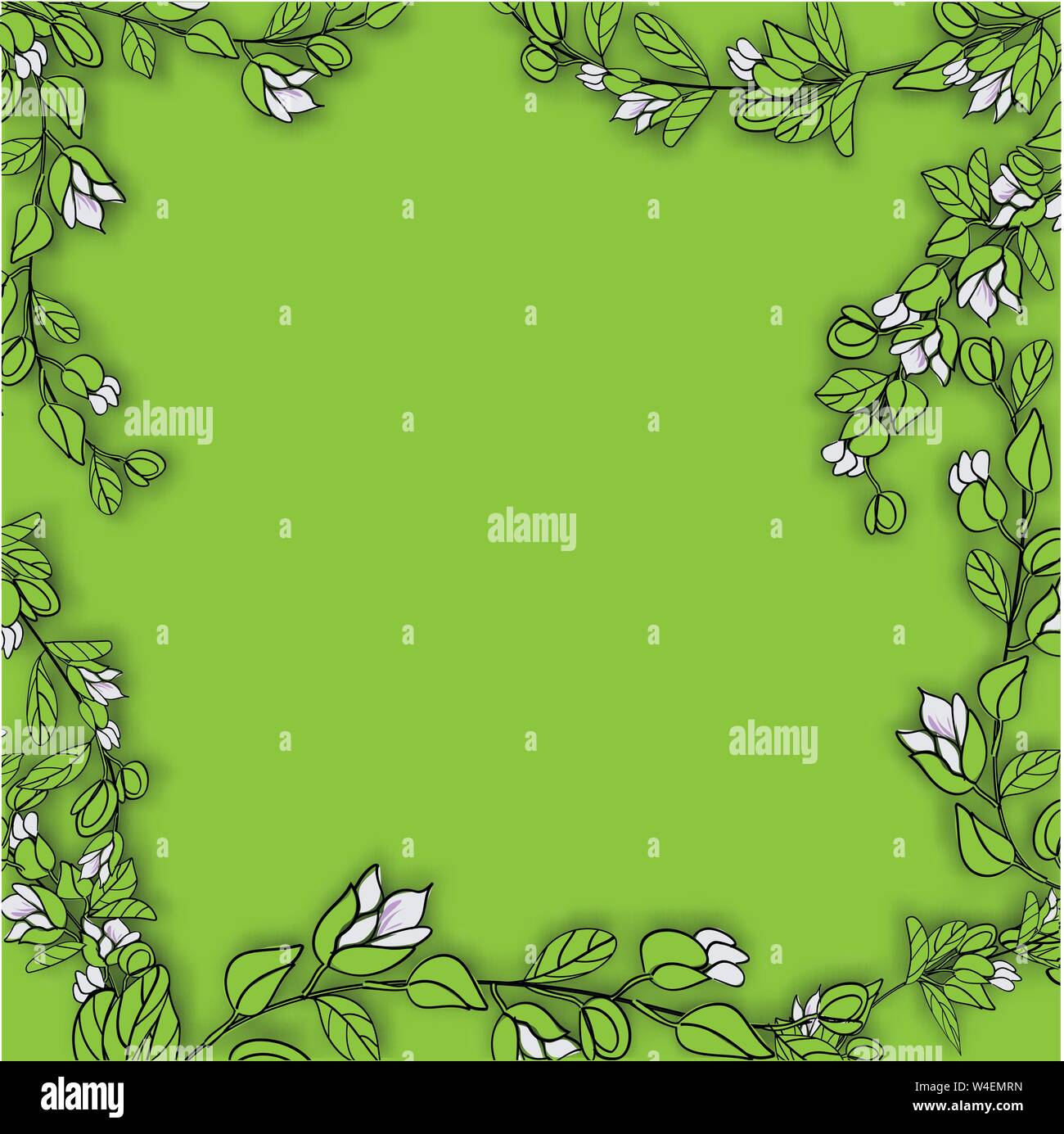 Fiji Blossom, Illustration of Tagimaucia Flower or Medinilla ...