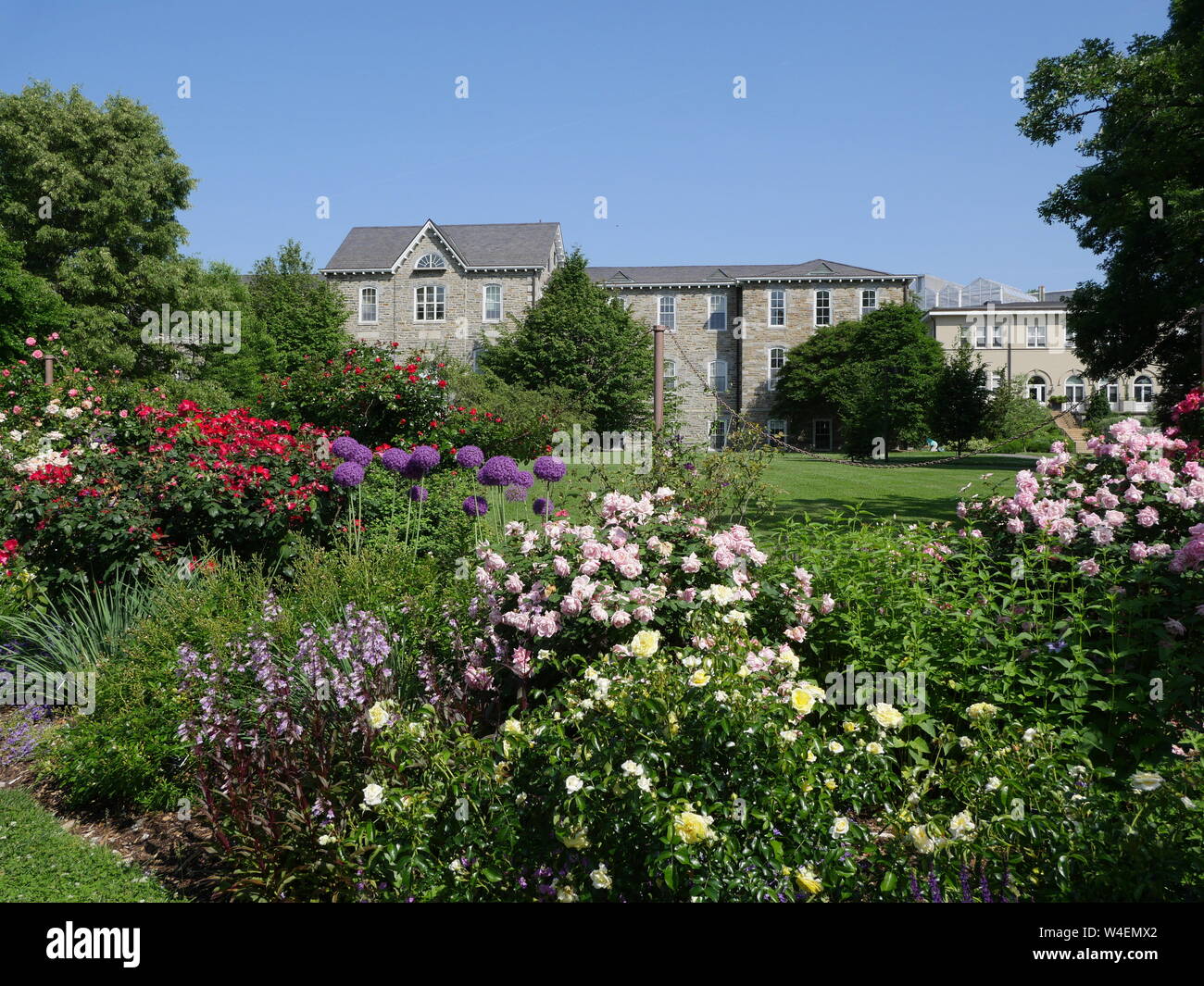 Rose garden university hi-res stock photography and images - Alamy