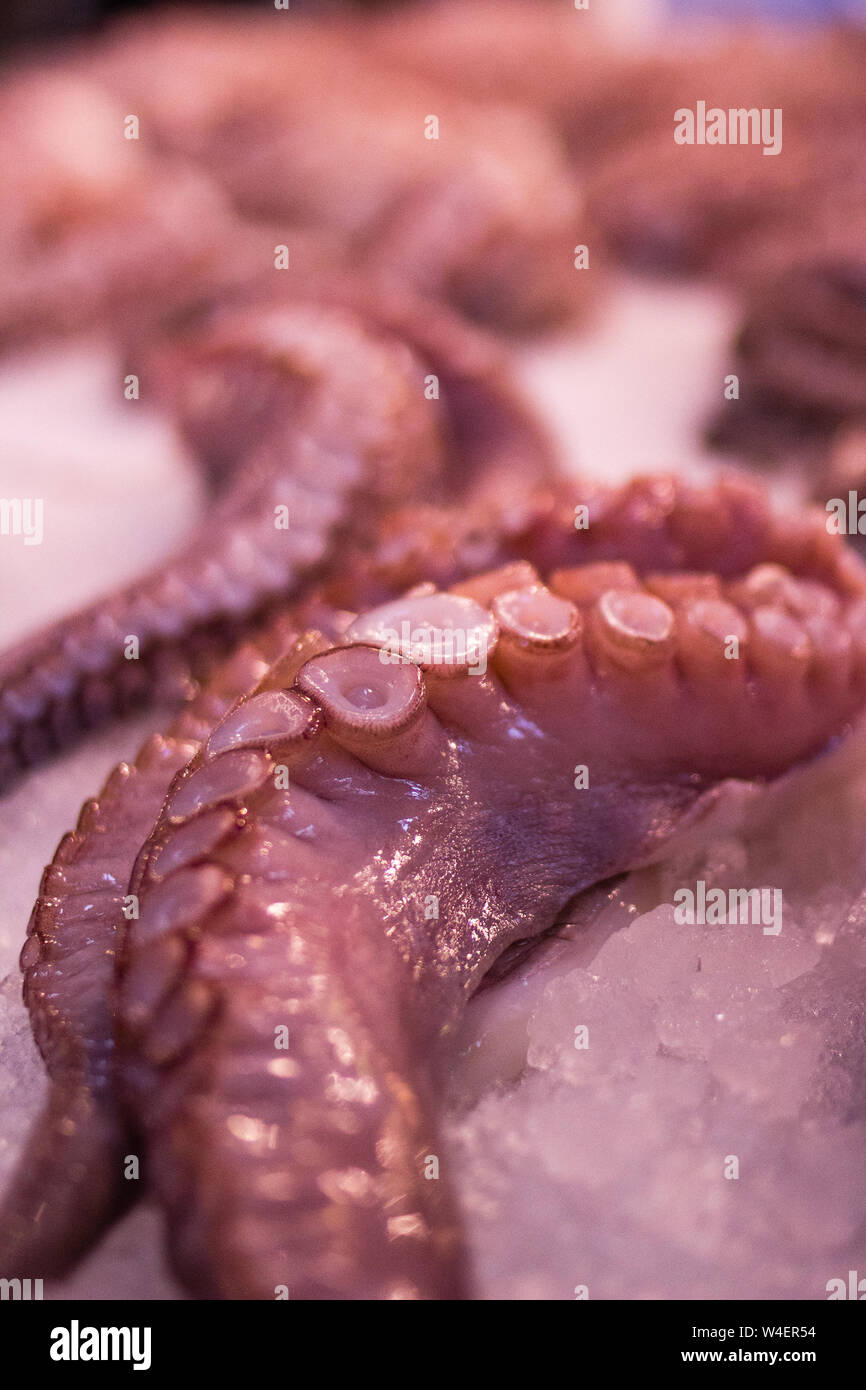 Raw octopus at the municipal market in Athens, Greece Stock Photo - Alamy