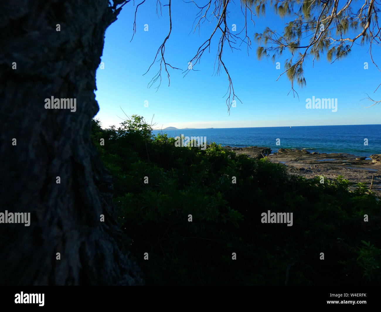 View of Mount Coolum, from Mooloolaba Beach with tree obscuring the ...