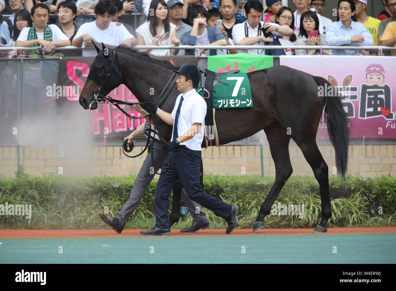 Chukyo racecourse hi-res stock photography and images - Alamy
