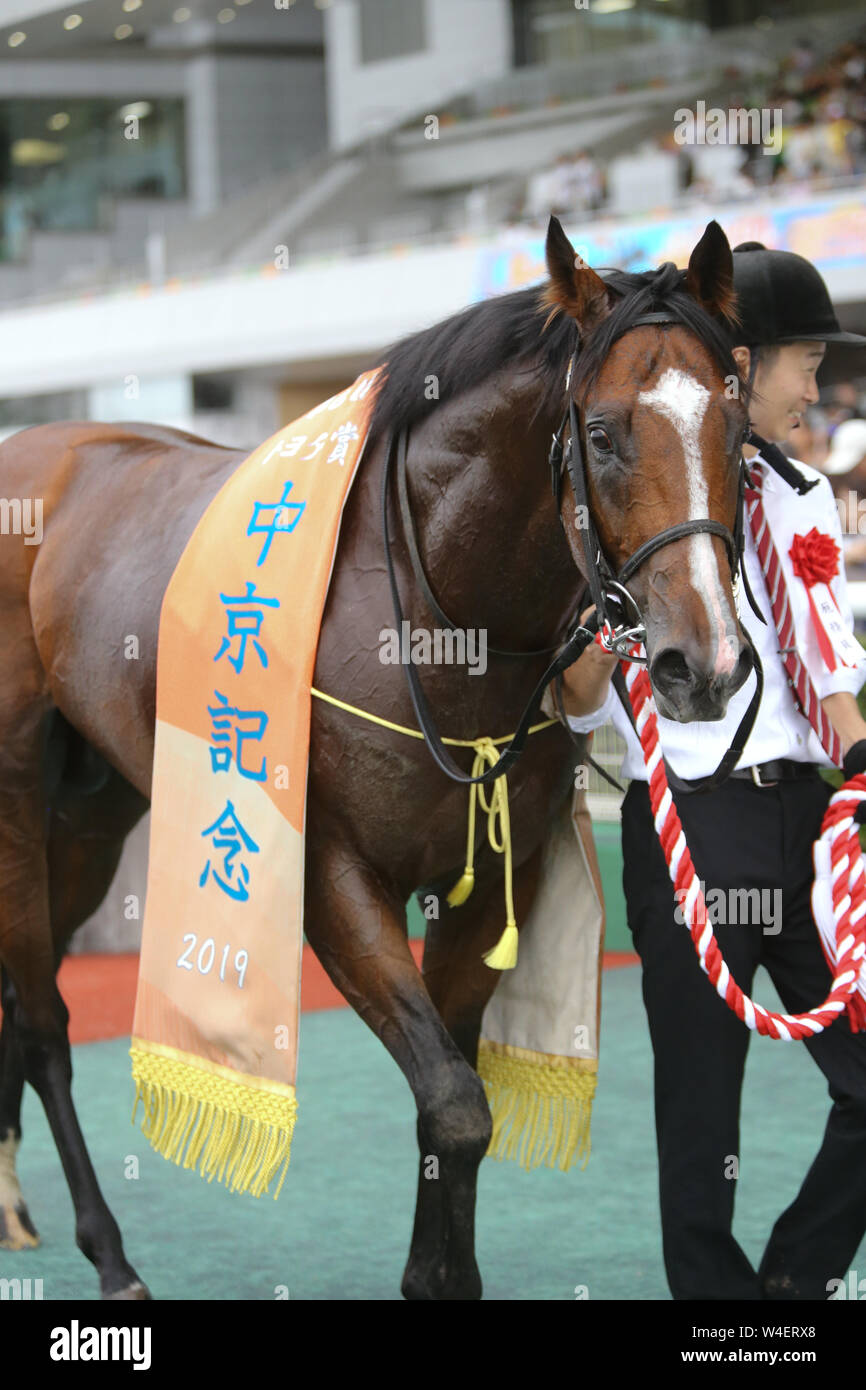 Aichi, Japan. 21st July, 2019. Groove It Horse Racing : Groove It after ...