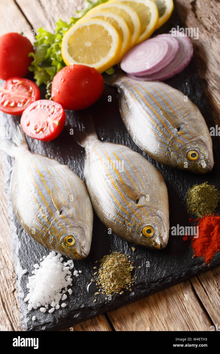 Salema fish hi-res stock photography and images - Alamy