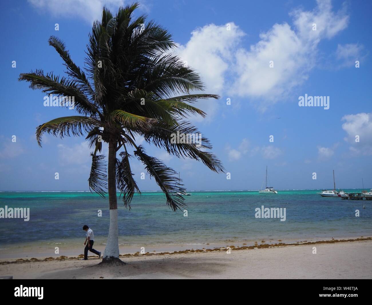 Ambergris hi-res stock photography and images - Alamy