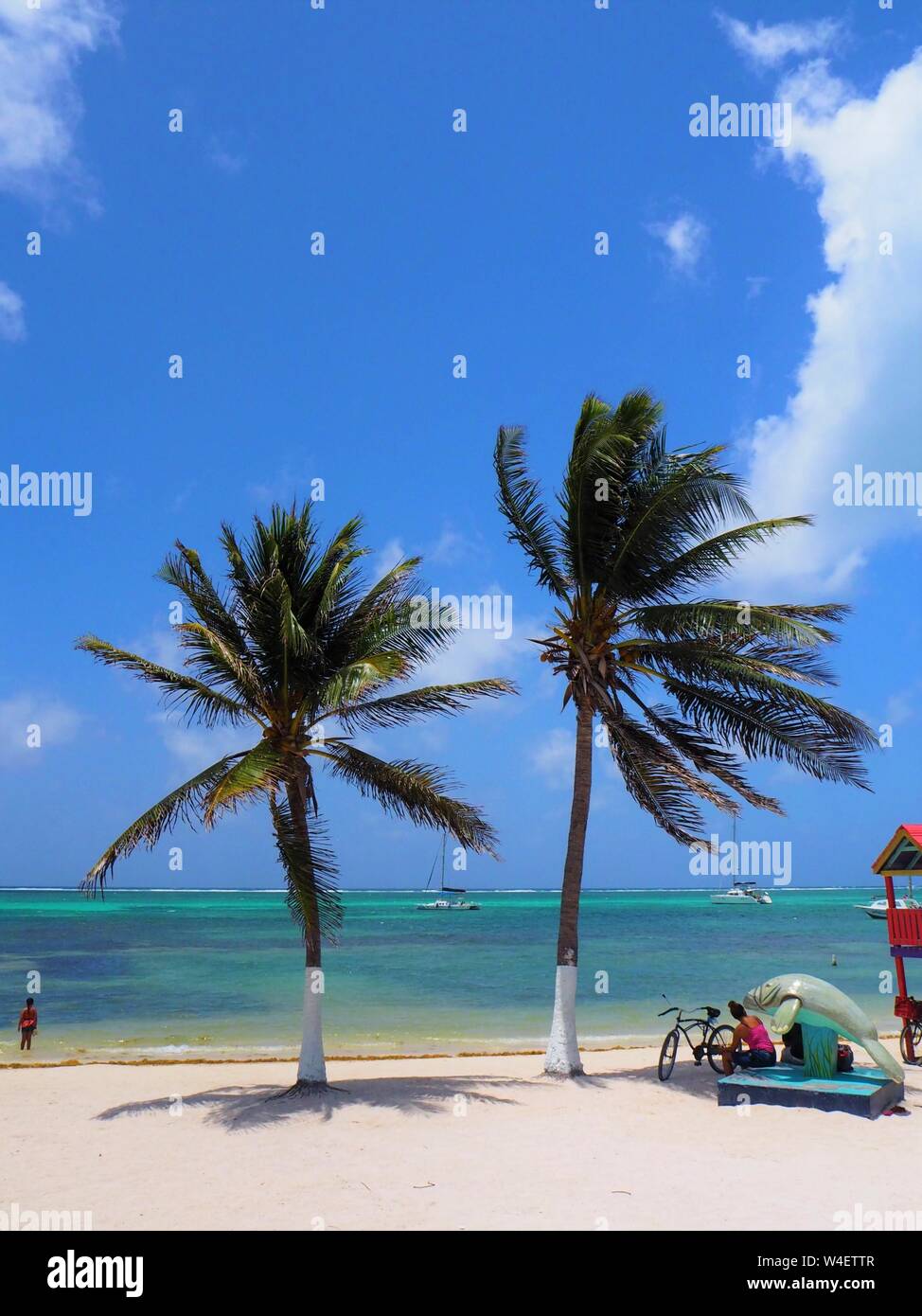 Ambergris hi-res stock photography and images - Alamy