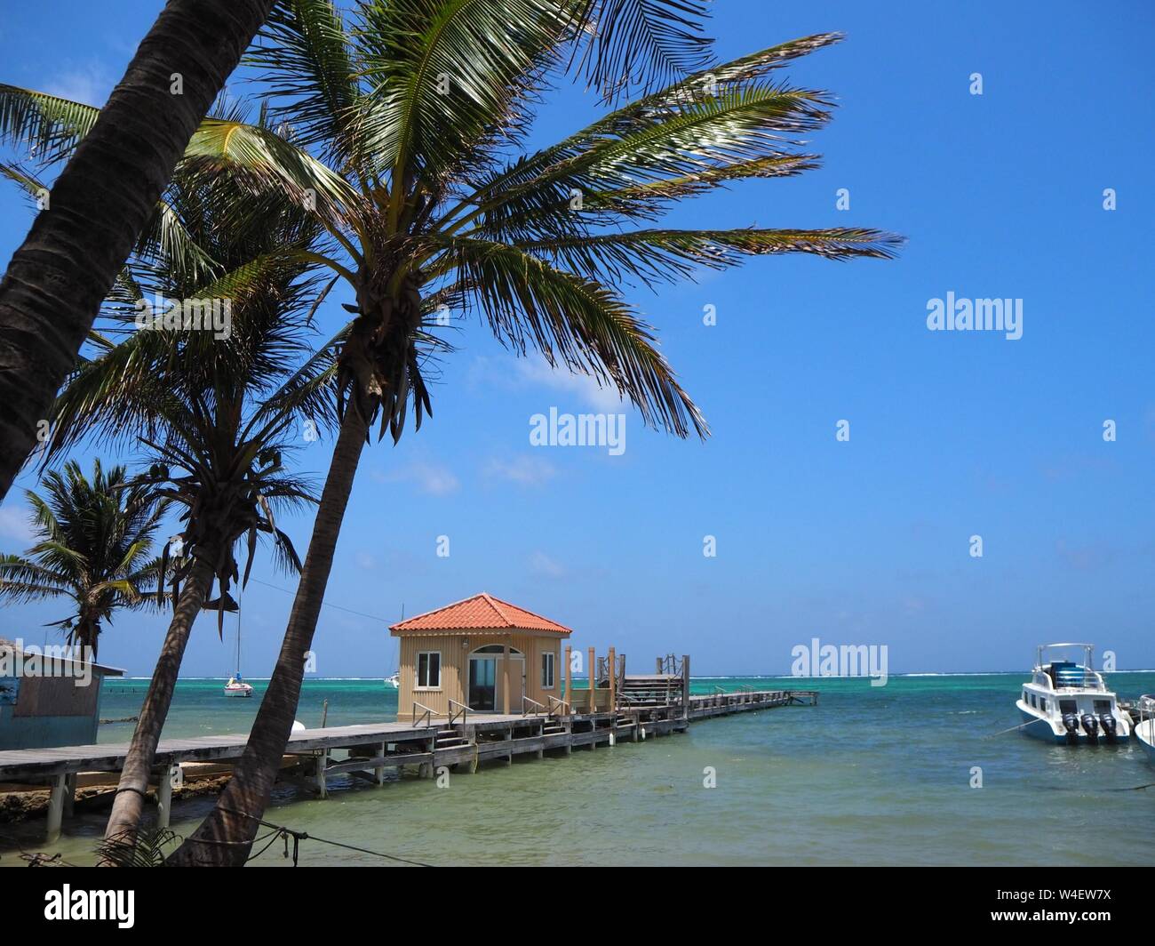 Ambergris caye island hi-res stock photography and images - Alamy