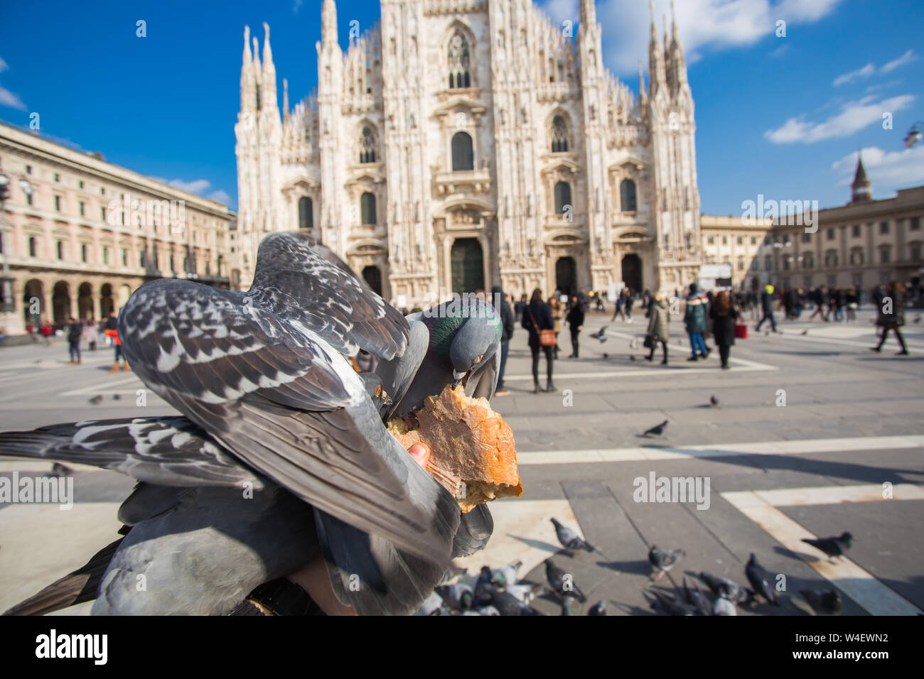 Travel, vacations, Italy and birds concept - Feeding pigeons on the ...