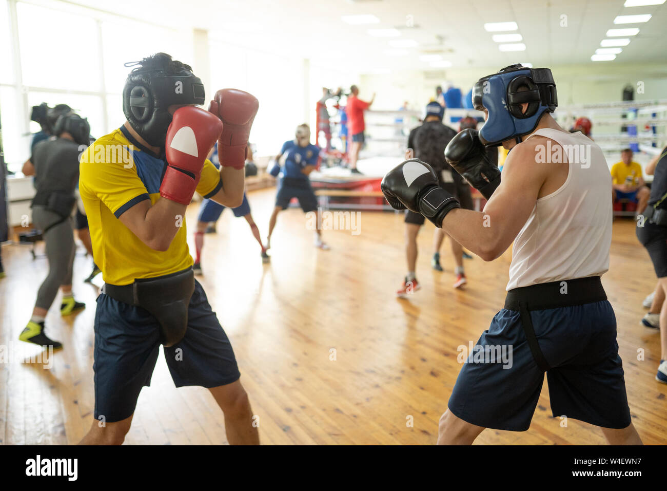 Boxing fighters exercising Stock Photo - Alamy