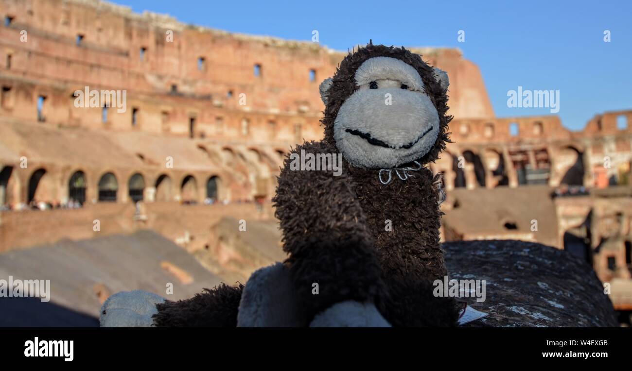 Monkey Hospital High Resolution Stock Photography and Images - Alamy