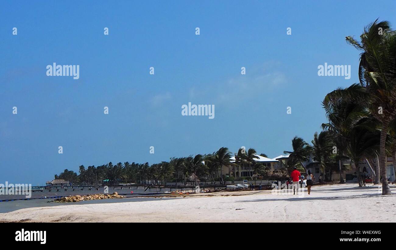 Tropical beach with palm trees and sea and blue sky and yellow and ...