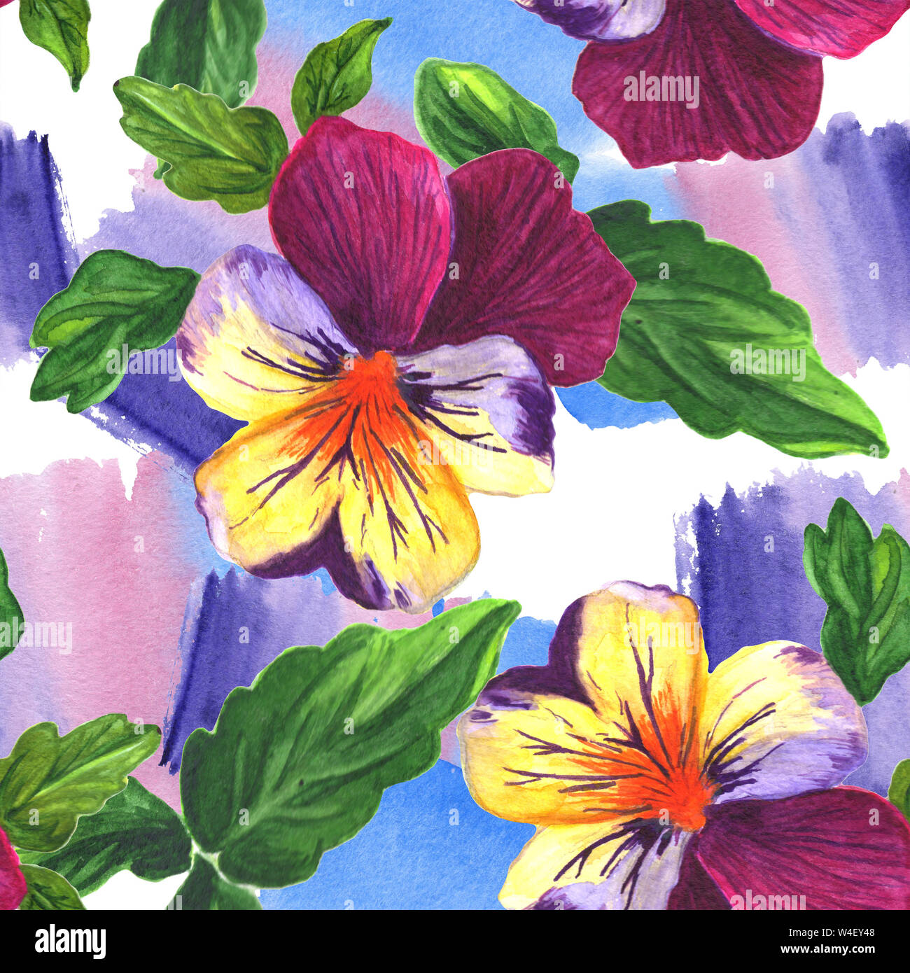 Viola floral botanical flower. Watercolor background illustration set ...