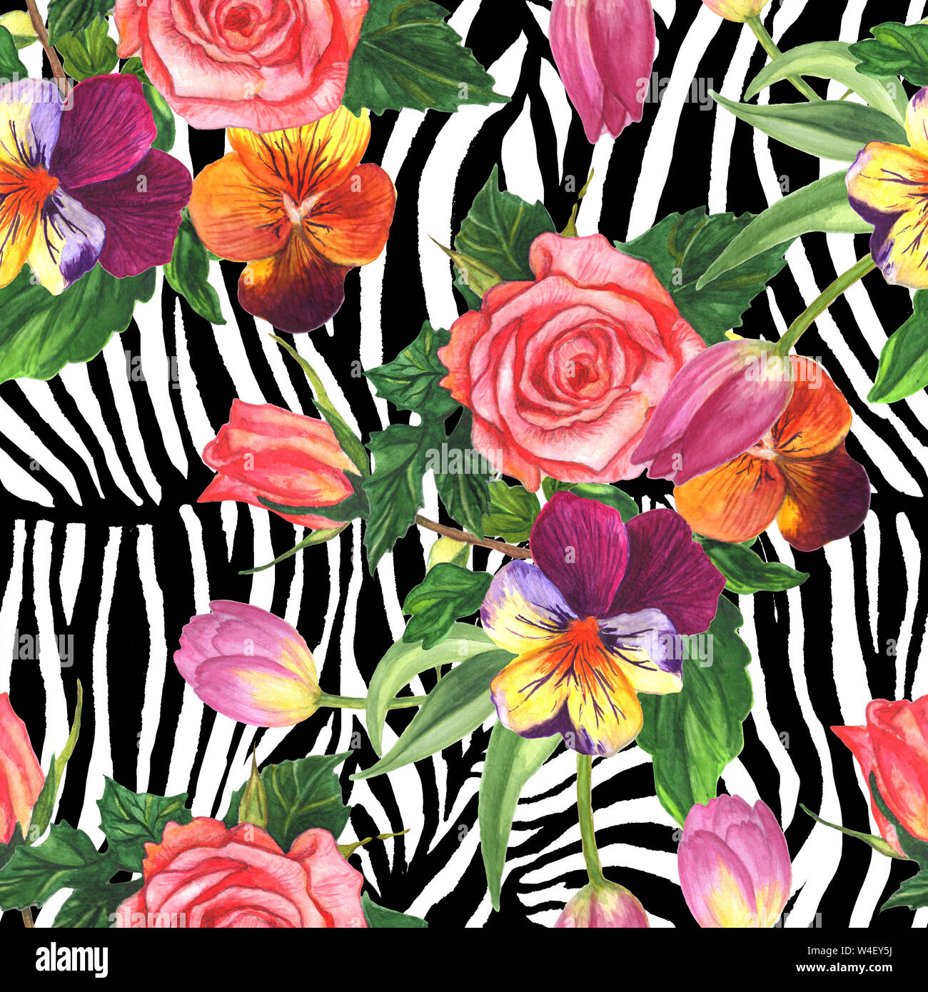Viola, rose and tulip floral botanical flower. Watercolor background ...