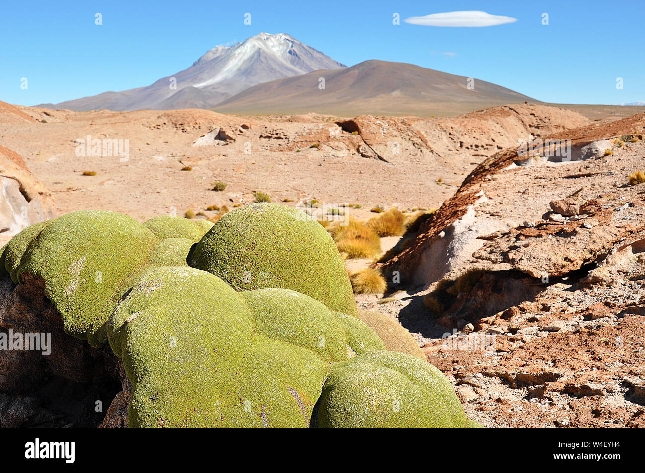 bolivian lagunas in the andes mountains region over 4000 meters above ...