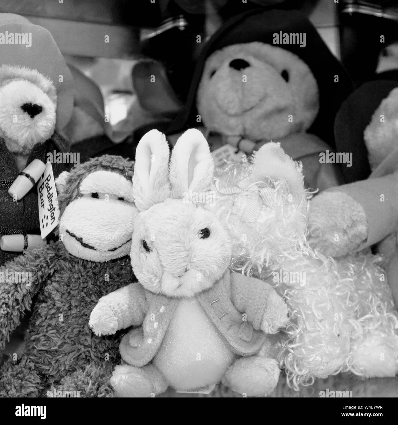 Peter Rabbit And Friends High Resolution Stock Photography and Images ...