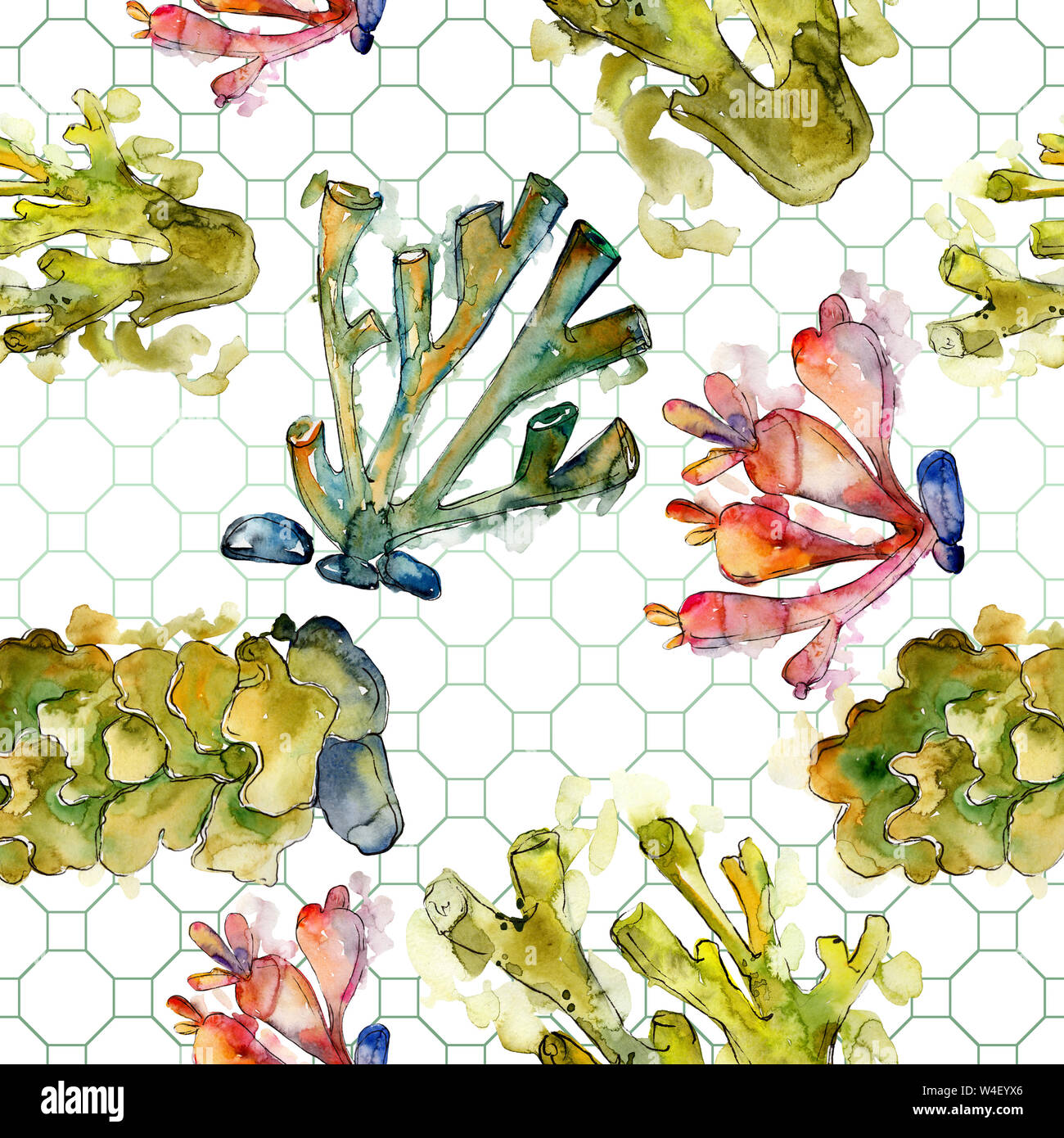Colorful aquatic underwater nature coral reef. Watercolor background ...