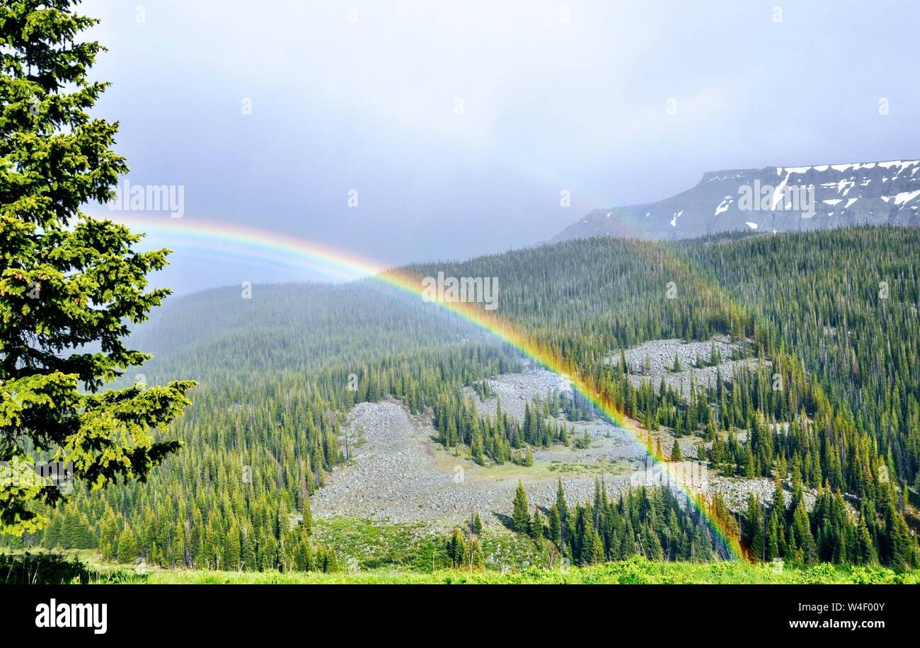 Thunder Basin High Resolution Stock Photography and Images - Alamy