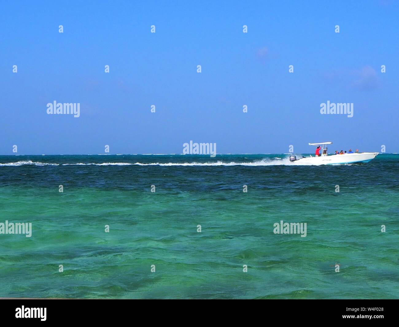 Fast speed boat on the ocean or sea in the carabbean. Belize near ...