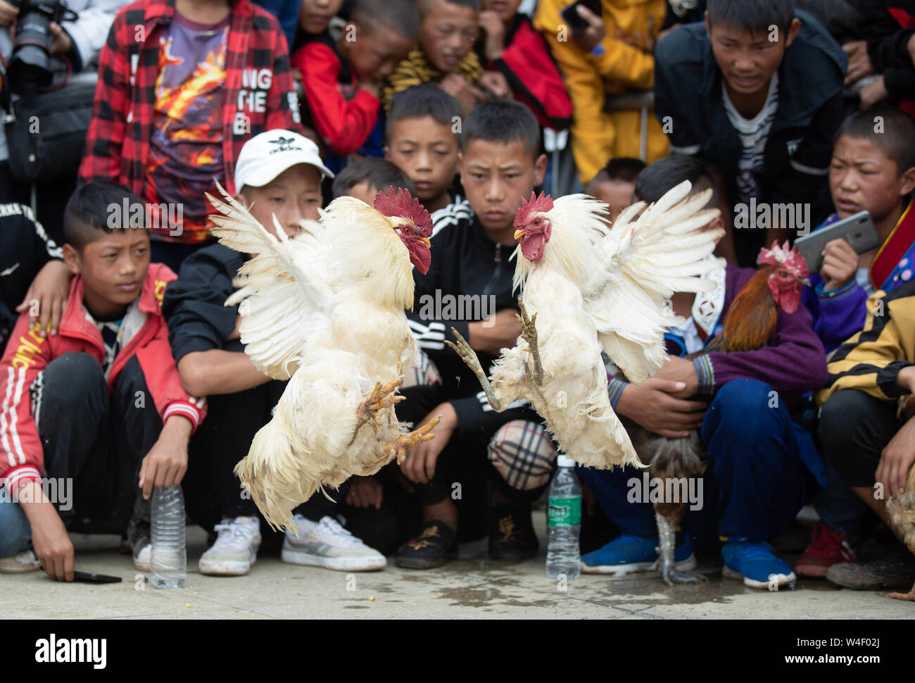 Butuo, China's Sichuan Province. 21st July, 2019. Youth watch the cock ...