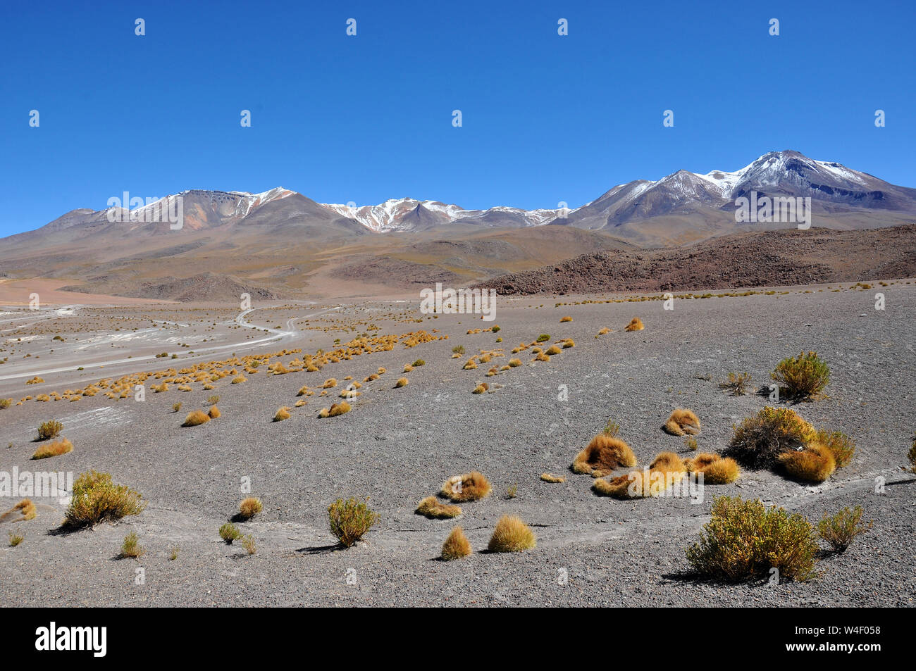 bolivian lagunas in the andes mountains region over 4000 meters above ...