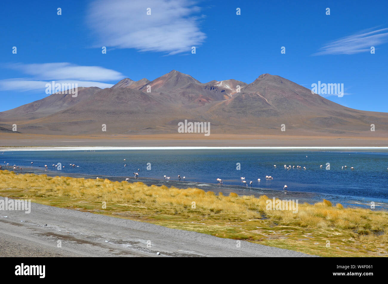 bolivian lagunas in the andes mountains region over 4000 meters above ...
