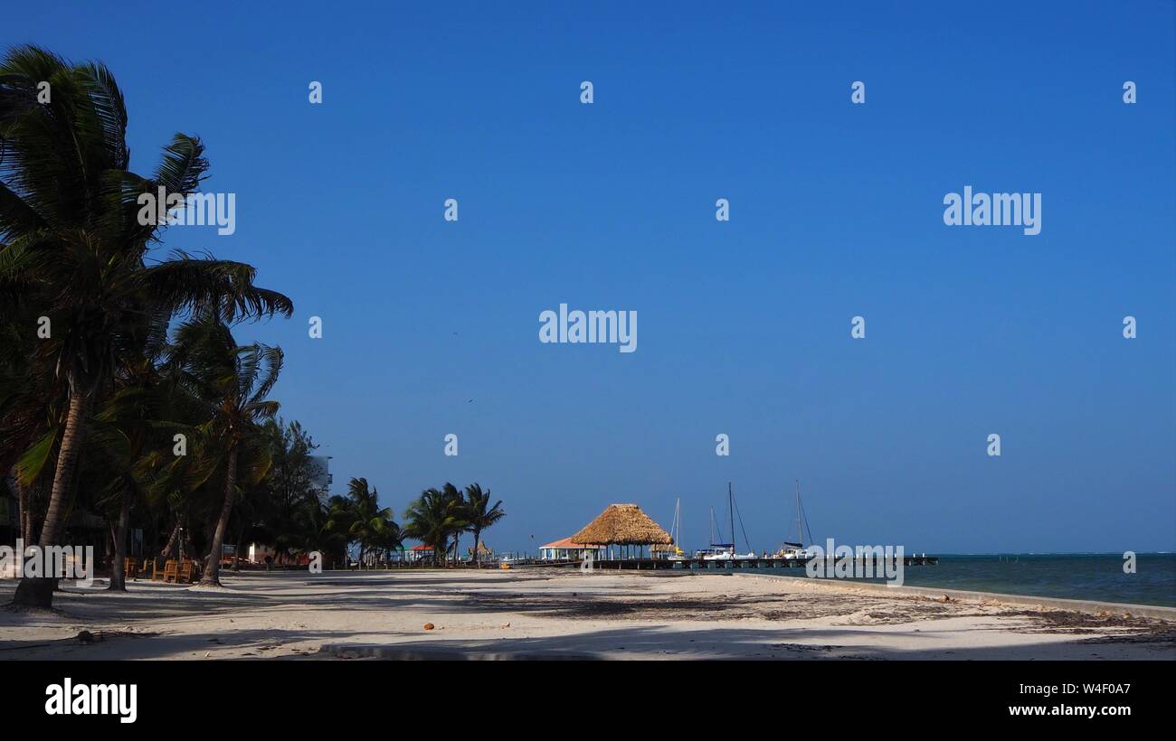Tropical beach with palm trees and sea and blue sky and yellow and ...