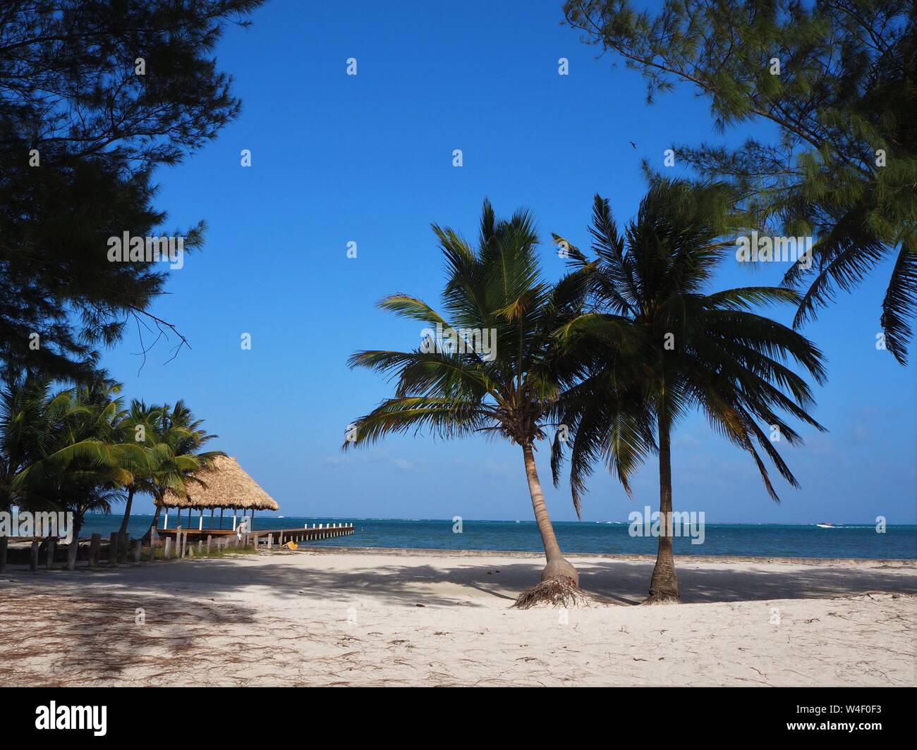 Tropical beach with palm trees and sea and blue sky and yellow and ...