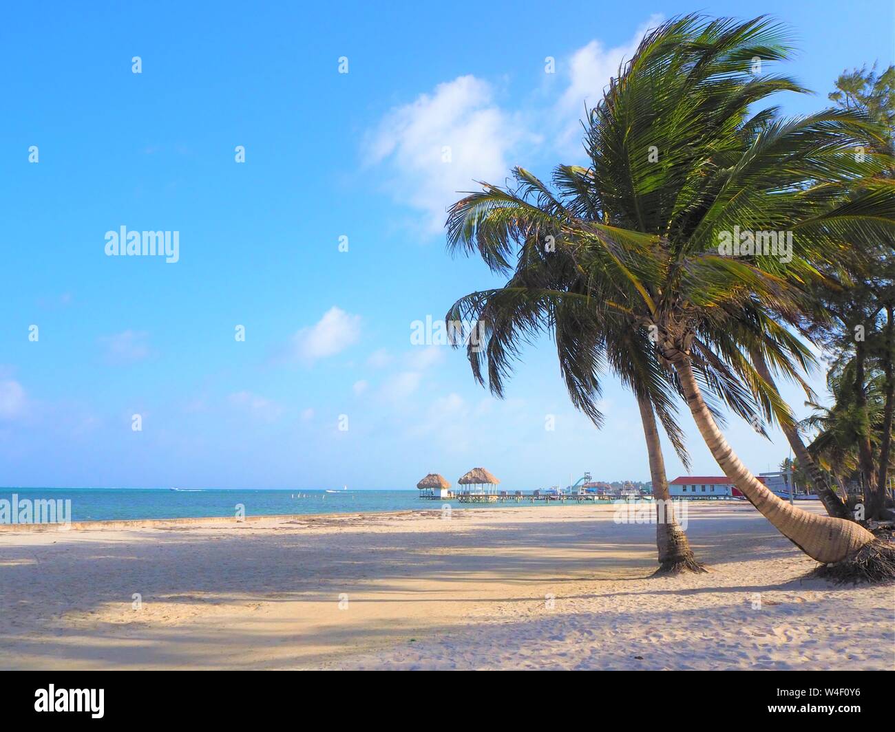 Tropical beach with palm trees and sea and blue sky and yellow and ...