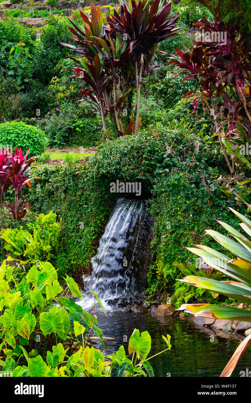 Waterfall in botanical gardens Stock Photo - Alamy