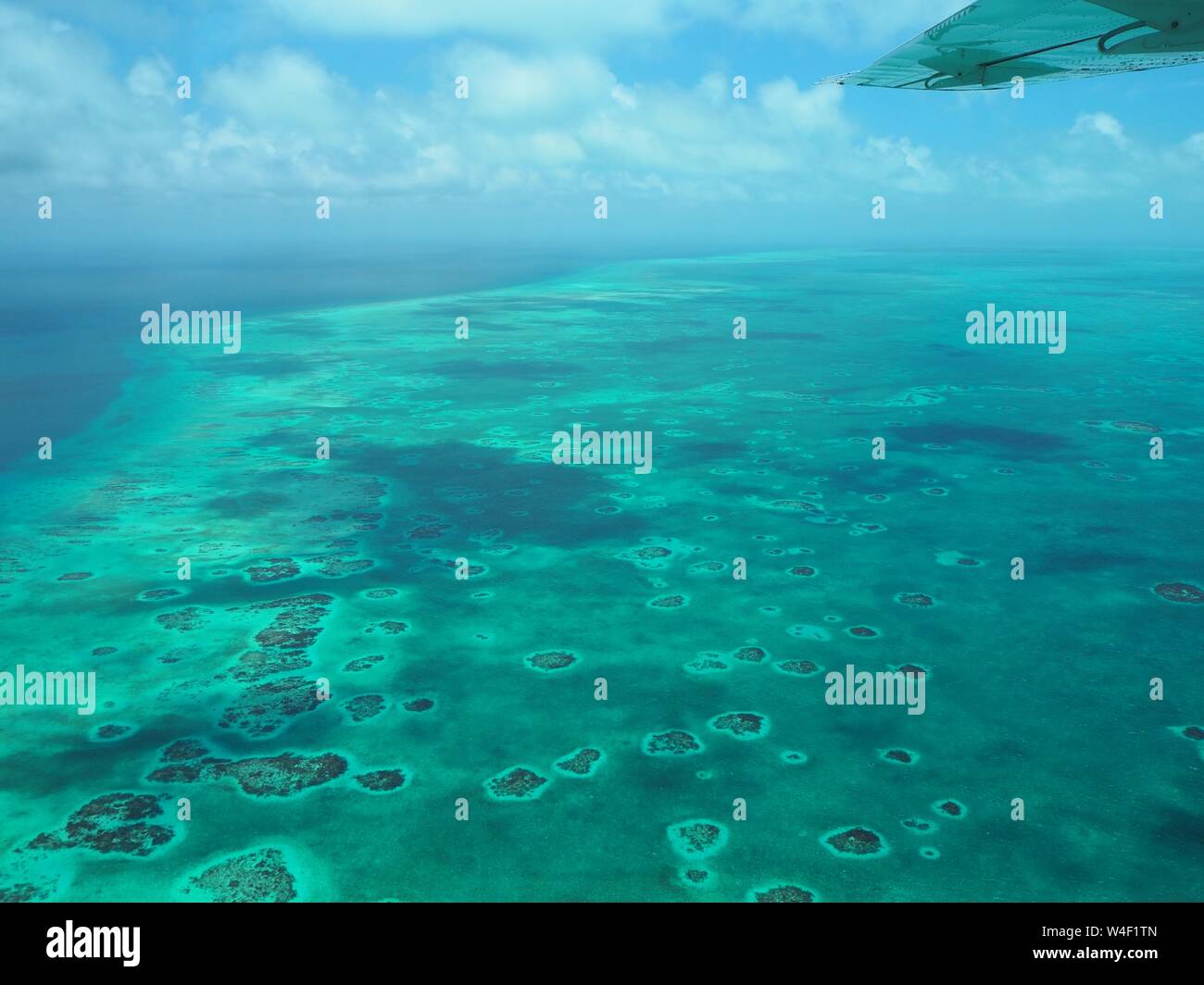Turneffe Atoll from the air. belize marine aerial view of the reef and ...
